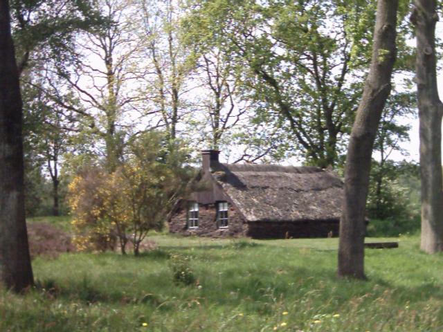Harkema
